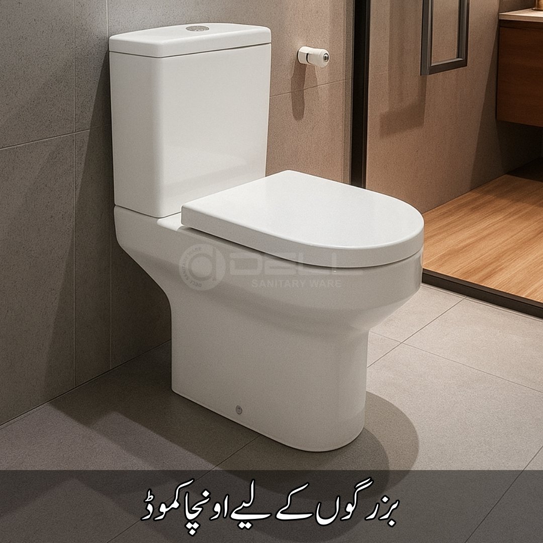 Dell H Comfort Height Commode for Elderly – Easy Sit & Stand Toilet ...